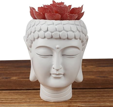 Amazon.com : Buddha Head Planter Decorative Planter Box for Small Plant ...