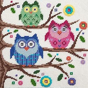 Amazon.com: Canoodles- Owls- Needlepoint Kit