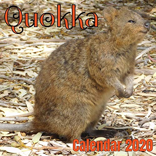 Quokka Calendar 2020: Calendar, Moon Phase, Huggs, Hope: 9781702084574 ...