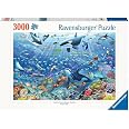 Amazon.com: Ravensburger - Colorful Underwater World - 3000 Piece ...