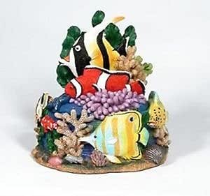 Amazon.com: Trinket Box Resin Tropical Fish Trinket Jewelry Box 5" High ...
