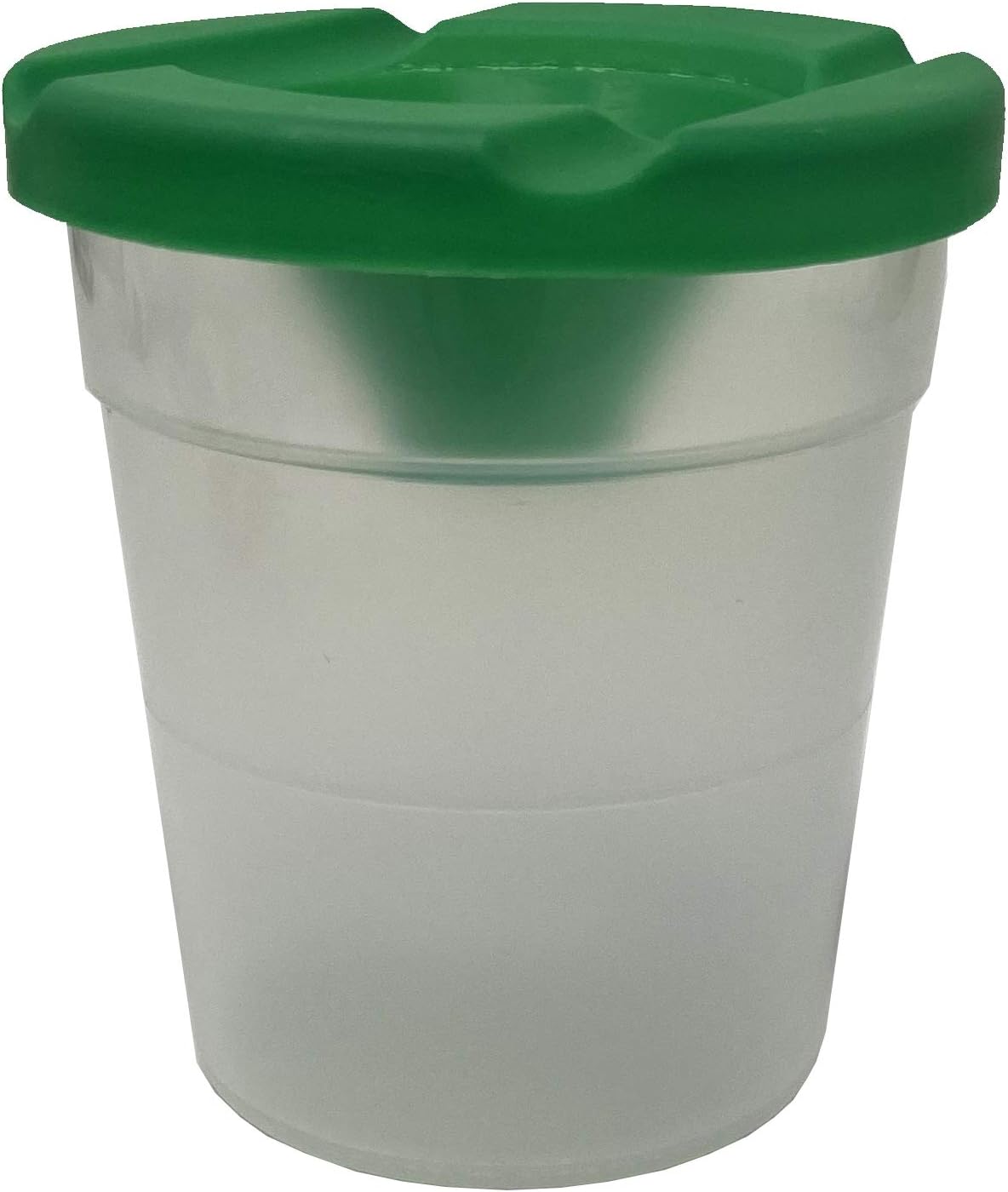 Indian Stick Insect Starter Kit at Yvonne Hosford blog