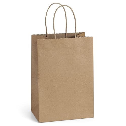 BagDream Gift Bags 100Pcs 5.25x3x8 Small Kraft Paper Gift Bags with ...
