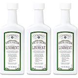 Amazon.com: J.R. Watkins Pain Relieving Liniment, 11 Fluid Ounce ...