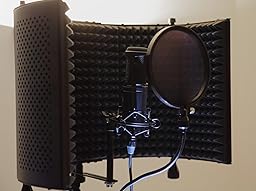 Amazon.com: Monoprice 602650 Microphone Isolation Shield: Musical ...