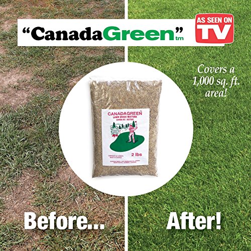 ECO-LAWN Grass Seed Blend Low Maintenance Lawn - 5lb Bag - thehostafarm.com