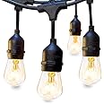 Amazon.com : Feit Electric 48ft / 14.6m Outdoor String Lights(48 Feet ...