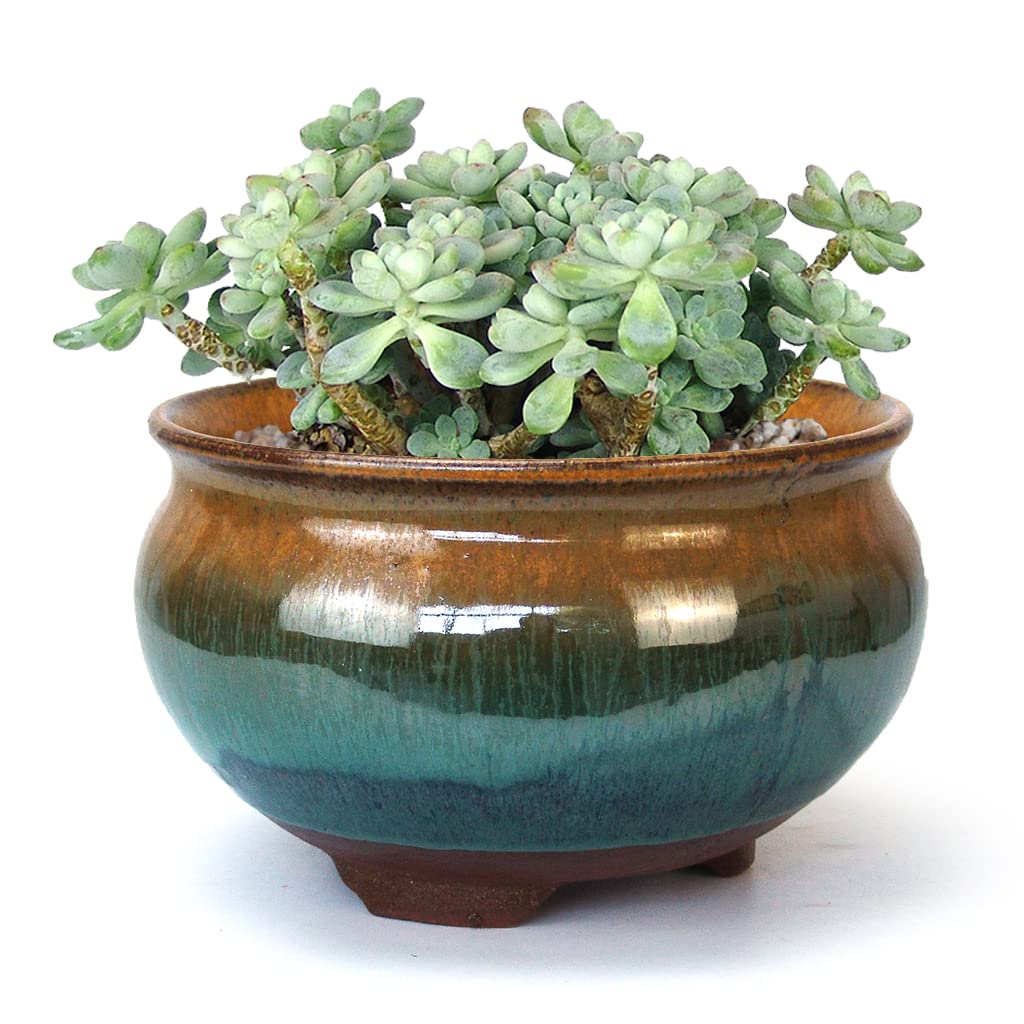 Summer Impressions 8 Inch Glazed Terracotta Plant Pot Round Ceramic ...