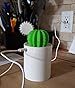 Amazon.com: Mini Humidifier, 280ml USB Cool Mist Portable Cactus Air ...
