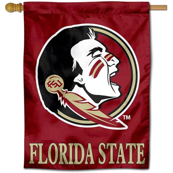 2 Pack Officially Licensed Florida State University Flag - glwec.in