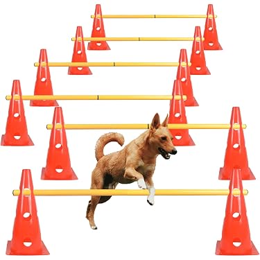 Dog Jump Cycle