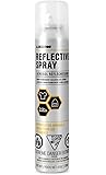 Rust-Oleum 214944 Reflective 10-Ounce Spray, Reflective, Spray Paint ...