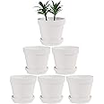 Amazon.com: Terra Cotta Pots with Saucer- 6-Pack Large Terracotta Pot ...