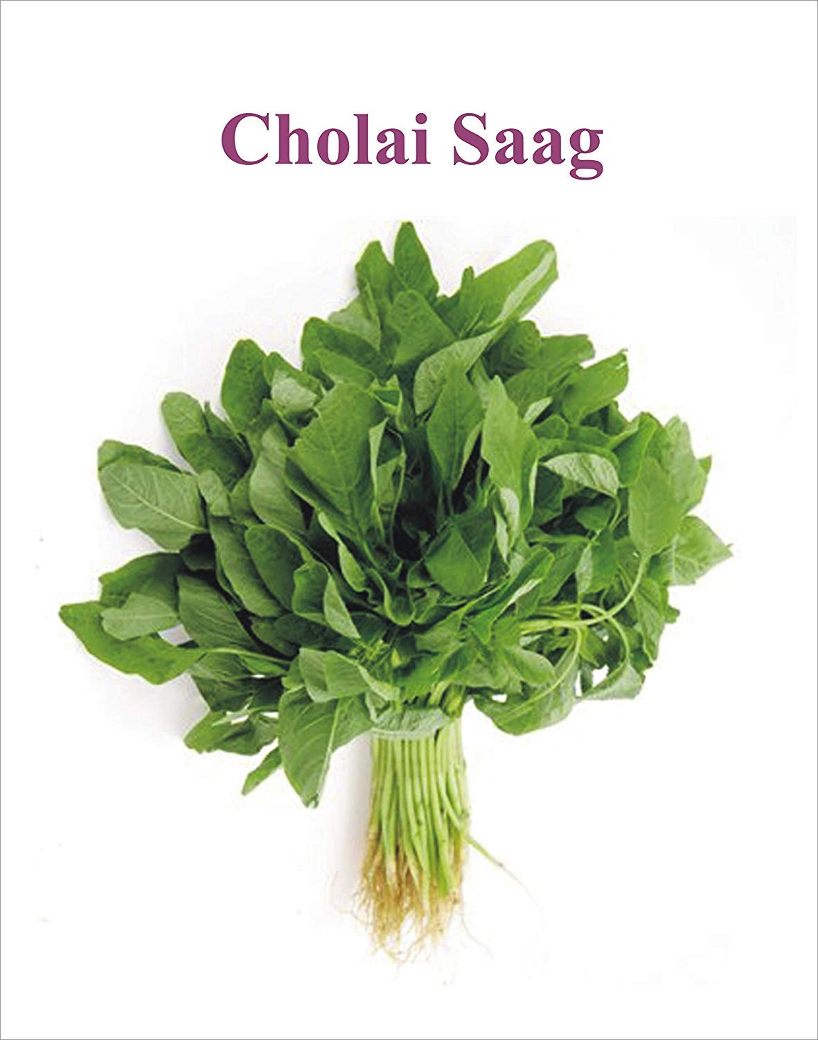 OMG ORGANIC SEEDS ! Cholai Saag (Green Amaranthus) 3000 Seeds !: Amazon ...