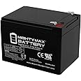 Amazon.com: ML7-12 - 12 Volt 7.2 AH, F1 Terminal, Rechargeable SLA AGM Battery, Mighty Max ...