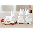Amazon.com: EASIMECOR Ceramic White Rabbits Easter Bunny Figurines ...