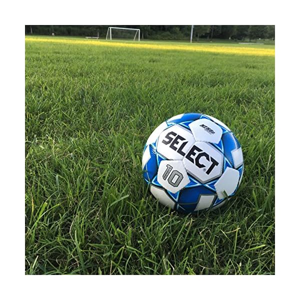 Select Numero 10 Soccer Ball - Deportivos.com