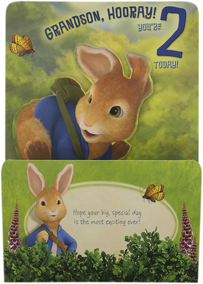 Hallmark Peter Rabbit 2nd Birthday Card For Grandson 'Have Lots Of Fun ...