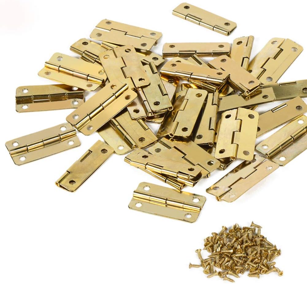 50 Pieces Mini Hinges, Stainless Steel Door Hinges, Small Hinges ...
