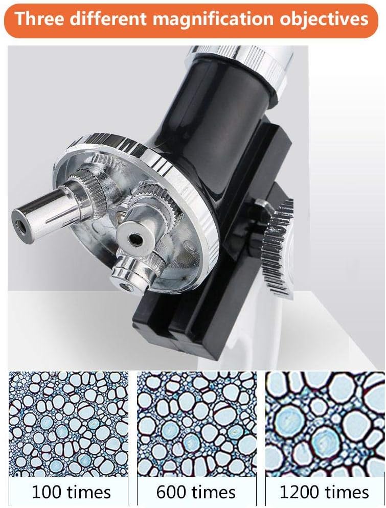Fdit 100X-1200X Microscopes for Kids Students Adults, 100/600/1200X ...