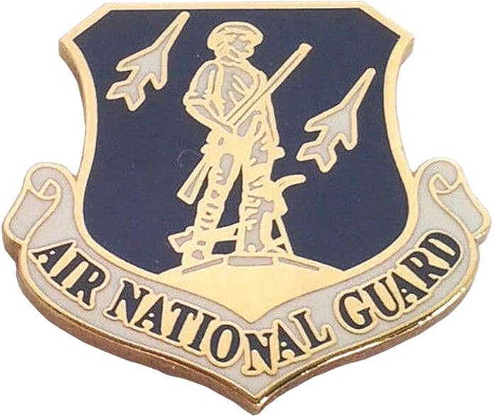 Amazon.com: AIR National Guard US AIR Force Military Veteran Hat Pin ...