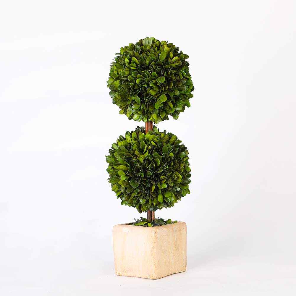 BOXWOOD WORLD Potted Preserved Boxwood Topiary Green Plant for Home ...