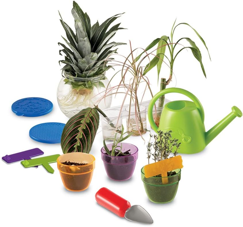 Primary Science Plant n Grow Set: Amazon.co.uk: Toys & Games