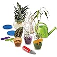 Amazon.com: Learning Resources Primary Science Plant & Grow Set : Toys ...