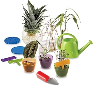 Amazon.com: Learning Resources Primary Science Plant & Grow Set : Toys ...