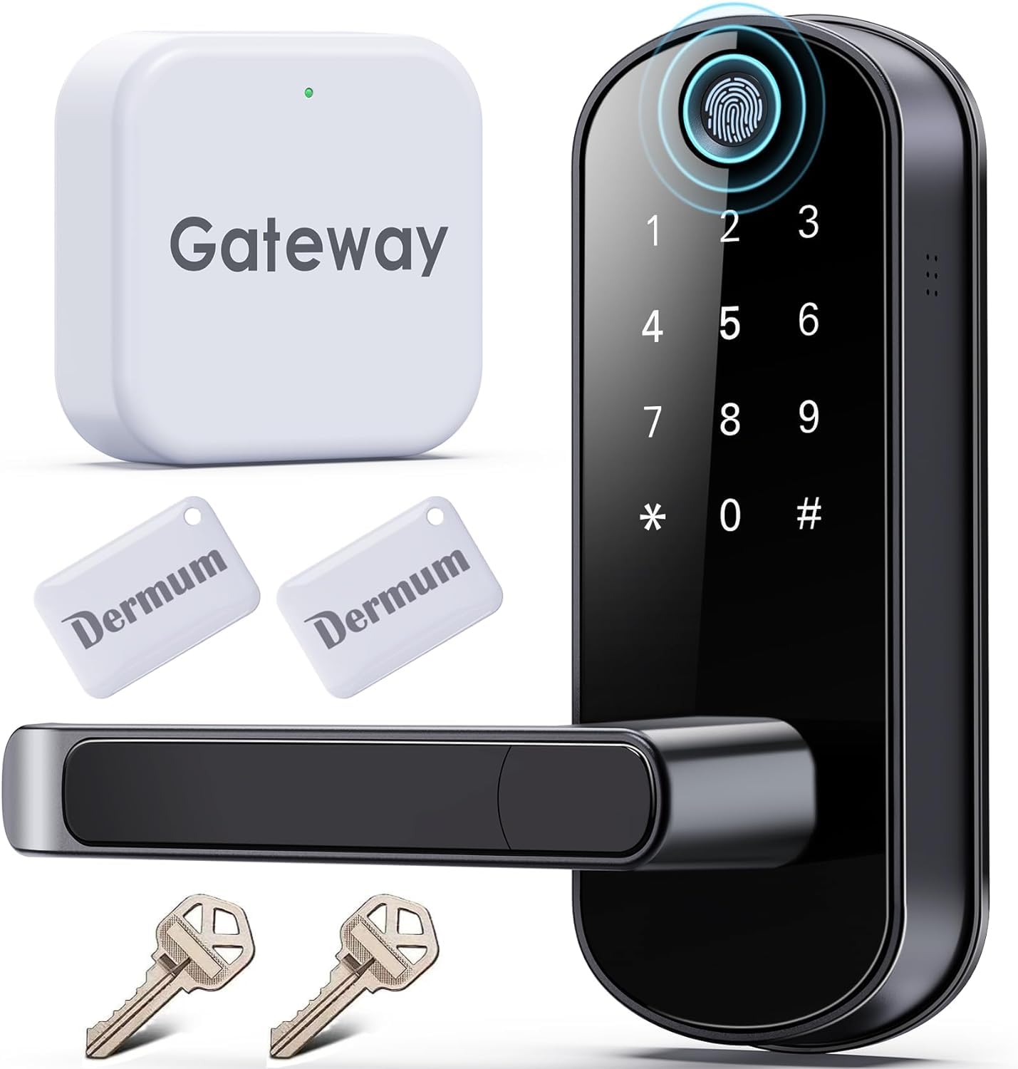 Mua Dermum Wi-Fi Smart Lock with Handle - Fingerprint Code Passcode ...