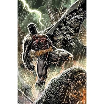 Amazon.com: Dc Comics Batman Night Watch Maxi Poster, Wood, Multi ...