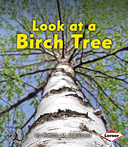 Look at a Birch Tree (First Step Nonfiction ― Look at Trees): Stockland ...