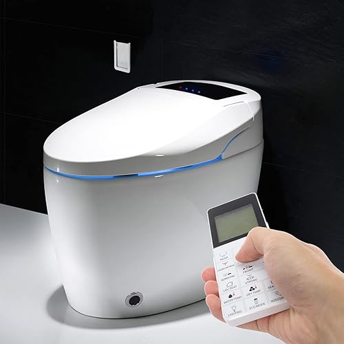 Perfectbot Modern Intelligent Smart Toilet, One-Piece Dual Flush ...