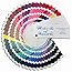 Amazon.com : Color Me A Season Color Selector - Winter : Office Products