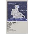 Amazon.com: JWE DFHYW Beachboy McCafferty Canvas Poster Bedroom ...