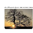 The Mountain Goats - The Sunset Tree [Vinyl] - Amazon.com Music