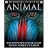 Amazon.com: Animal: The Definitive Visual Guide (9780756686772): DK ...