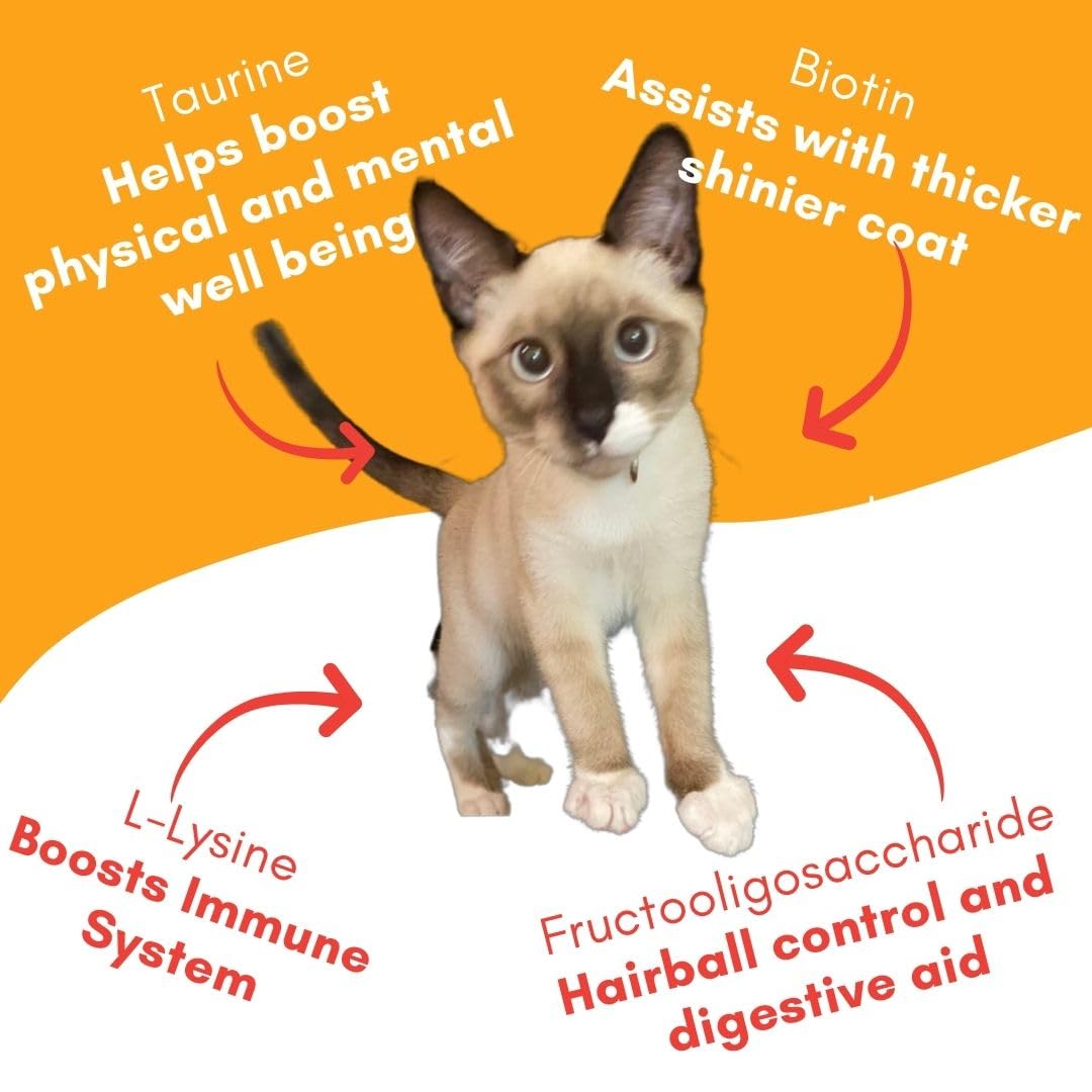 Mua Kitty Up - Lickable Cat Treat Pouches for Indoor Cats - All Natural ...