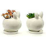 Amazon.com: MyGift Decorative Bunny Rabbit Design White Mini Ceramic ...