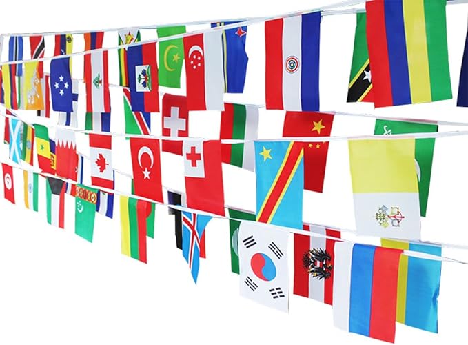 Clerfy Acc Lot de 100 Pays Drapeaux – International Drapeaux du Monde ...