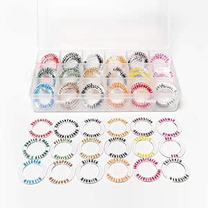 Amazon.com: DND Condition Markers Rings 90 PCS Status Effect Markers in ...