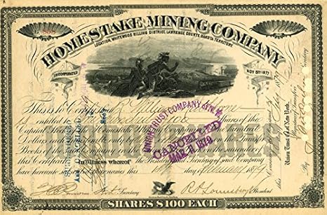 Amazon.com: Homestake Mining Company: Entertainment Collectibles