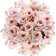 Amazon.com : 100 Pink Roses - Fresh Flowers : Fresh Cut Format Rose ...
