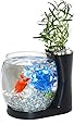 Amazon.com : Elive Betta Fish Bowl / Betta Fish Tank with Planter ...