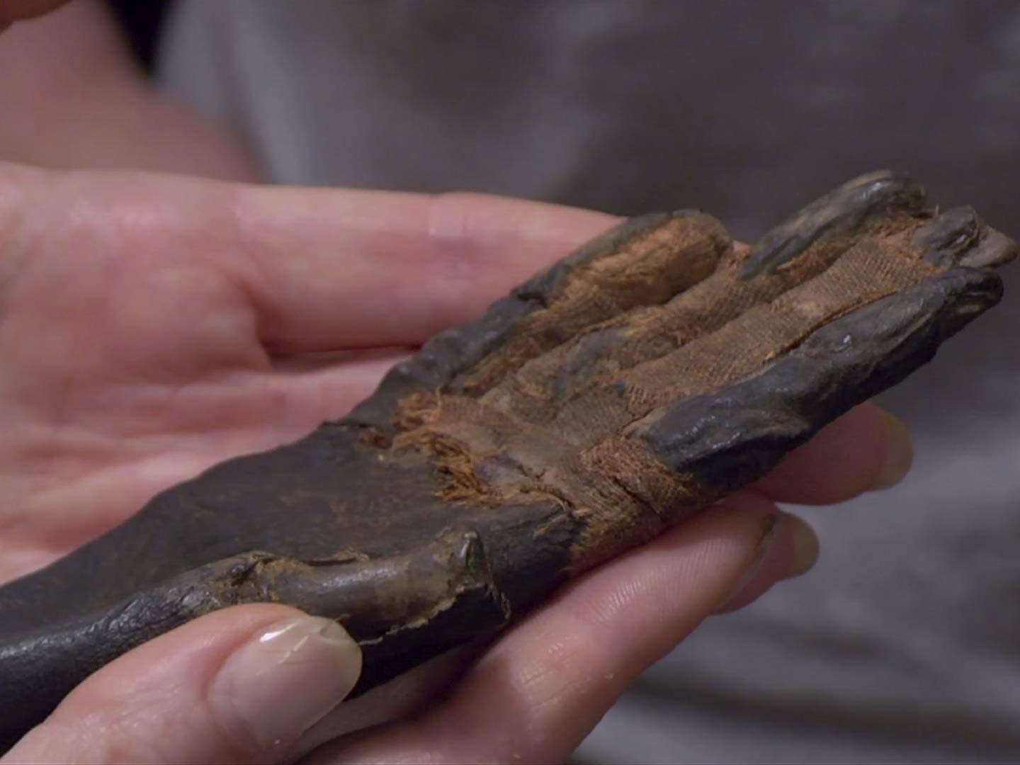 Watch Oddities - Season 1 | Prime Video