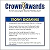 Crown Awards Art Trophies with Custom Engraving, 6" Personalized Artist ...