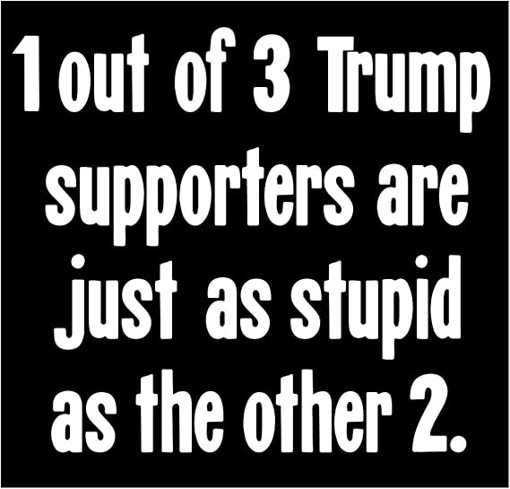 Amazon.com: Paper Sticker 1 Out of 3 Trump Supporters Is Just As Stupid ...