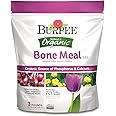 Amazon.com: Burpee Bone Meal Fertilizer | Add to Potting Soil | Strong ...