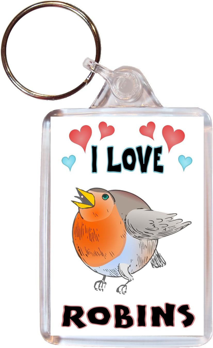 I Love Robins/Robin - Double Sided Large Keyring Name Tag Novelty Gift ...