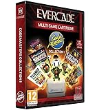 Amazon.com: Blaze Evercade Data East Arcade Cartridge 1 - Nintendo DS ...